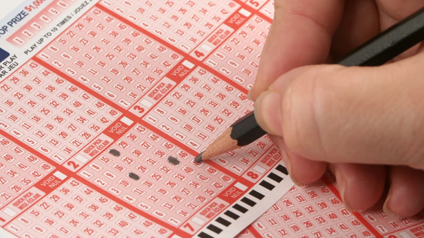 How to Play Powerball in the UK? - London Business Mag