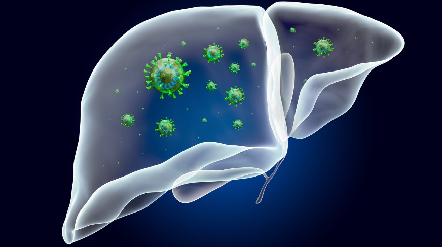 How Do You Get Hepatitis? - Guide to Understanding Hepatitis - London ...